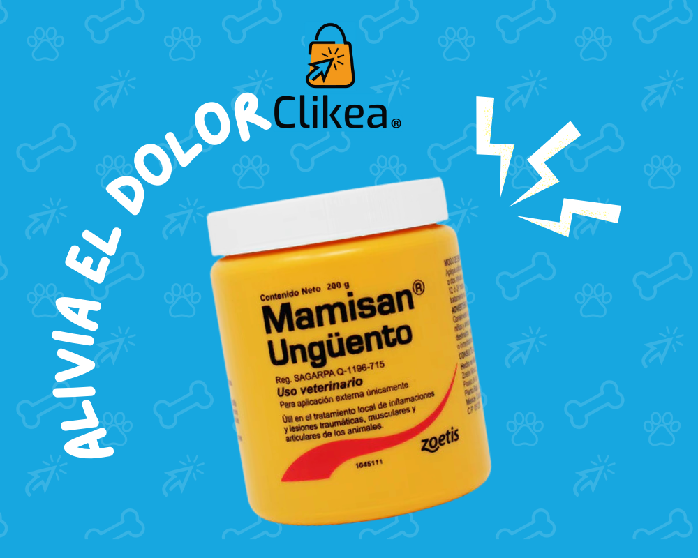 Descubre los Beneficios del Ungüento Mamisan: Tu Aliado para el Bienes ...