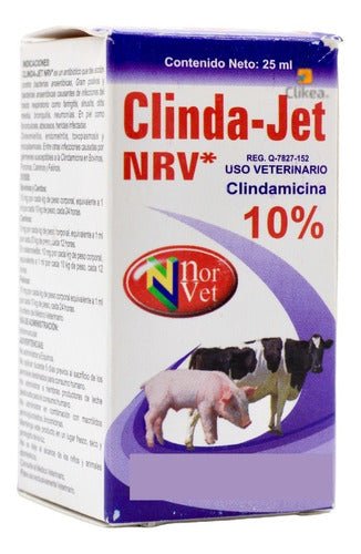 Clinda Jet Nrv 10% Clindamicina Norvet 25 Ml | CLIKEA PETS